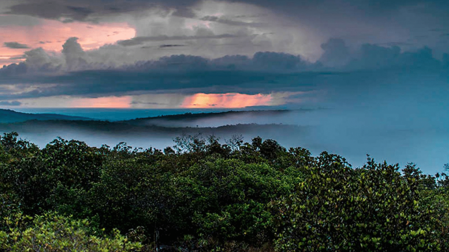 Caño Cristales: The Most Beautiful River in the World is in Colombia ...